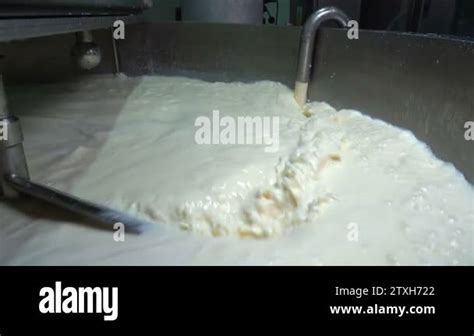 Milk Pasteurization In Dairy Processing Plant Milk Inside The Pasteurization Tank At The Dairy