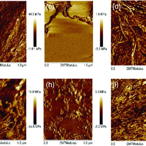 Dmt Modulus Maps Obtained By Afm Images A Pu Pc B Pilpc Bmim C Download Scientific