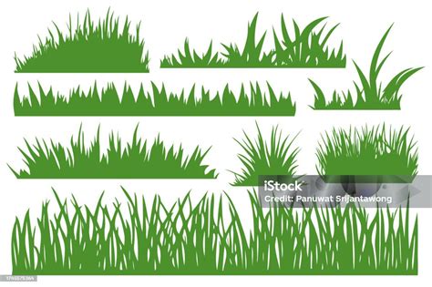 Green Grass Vector Set Stock Illustration Download Image Now Grass