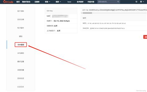 windows11 git 安装SSH密钥 win11 git ssh在哪里 CSDN博客