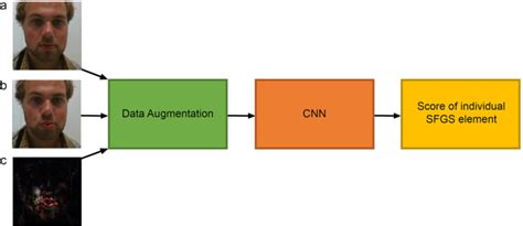 Simplified Overview Of The Training Of The Convolutional Neural Network Download Scientific