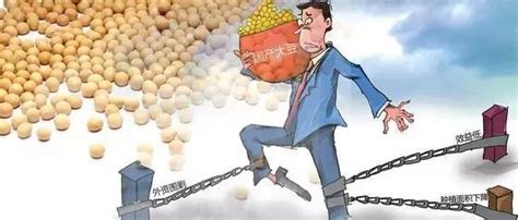 我國大豆產量這麼豐富為何還要進口洋大豆 每日頭條