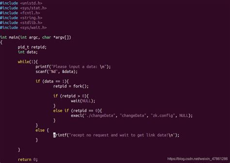 Exec函数与fork函数的配合使用exec函数里面使用了fork Csdn博客