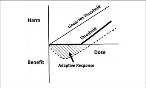 Traditional Illustration Of Low Dose Radiation Response Figure 2 The