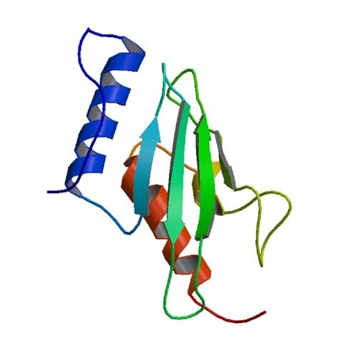 Crystal Structure Of Ubiquitin Conjugating Enzyme E2 From Plasmodium