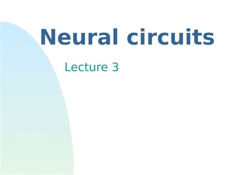 Ppt Neural Circuits Dokumentips