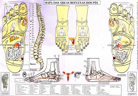 Mapa Podal Reflexologia Japonesa Por R2200 Ubicaciondepersonascdmx