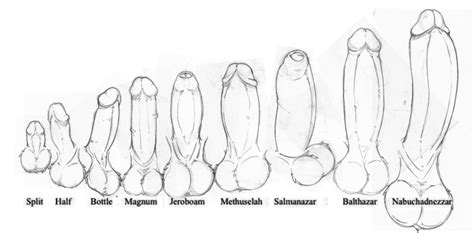 Rule 34 Anatomy Big Penis Boner Circumcised Comparison Disembodied
