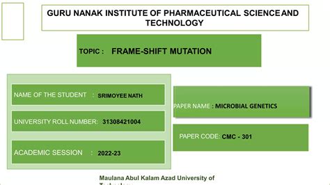 Frame Shift Mutation Pptpdf