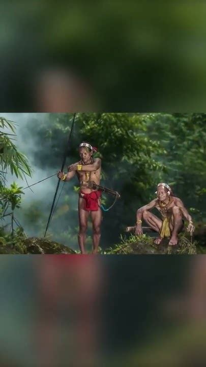 ამაზონის ტროპიკული ტყე Youtube