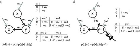 causal model representation a an example causal bayesian network