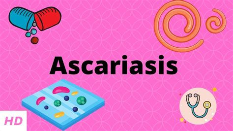 Ascariasis Causes Symptoms Signs Diagnosis Treatment How To Recognize