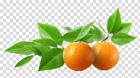 мандарины Png изолированные на прозрачном фоне Премиум Psd Файл