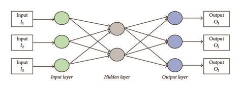three layer feedforward network download scientific diagram