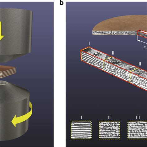 Schematics Of The Deformation Method The Multilayer And The Volume