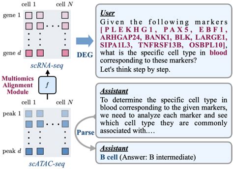 논문 리뷰 Single Cell Omics Arena A Benchmark Study for Large Language Models on Cell Type