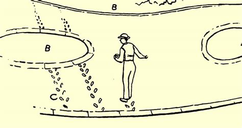 Best Composting Methods Elevate Your Garden S Health