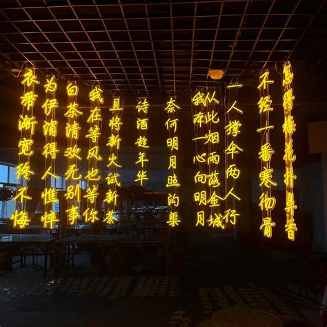 古诗词灯夜游景区商业街步行街灯光美陈 创美达花灯灯饰画 站酷zcool