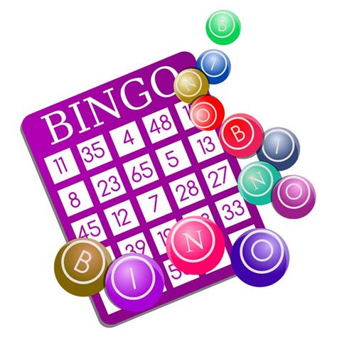 bingo caller software best bingo script and source code bingo