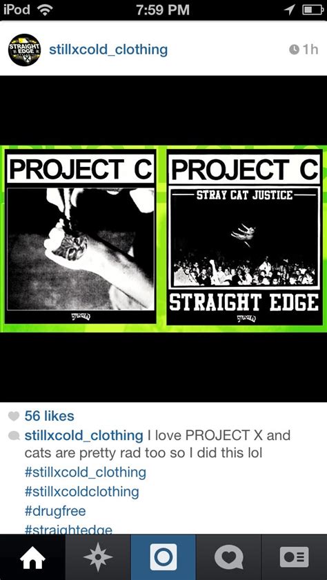 Project C For Cat Haha