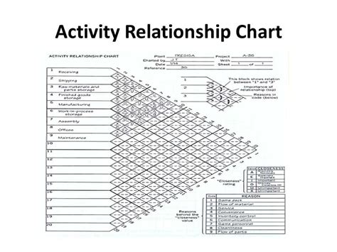 Create Effective Activity Relationship Diagrams With Ease
