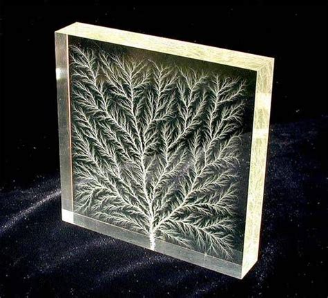 Amazing Fractals Found In Nature