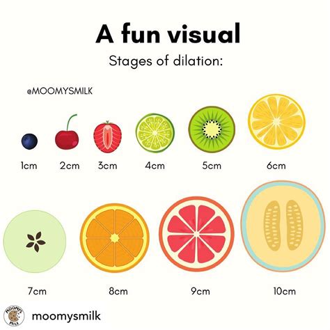 Cervix Dilation Chart Cervix Dilation Chart Cervix 54 Off