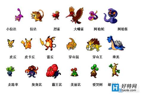 宝可梦图鉴 宝可梦超进化图鉴大全 宝可梦超进化图片 第4页 大山谷图库