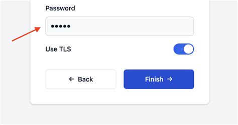 Parameters Password Input Netwizard Docs