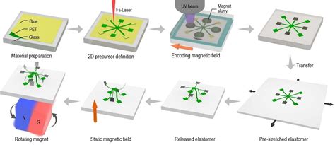 A High Order Shape Morphing And High Frequency Actuated 3d