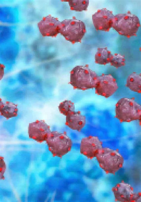 Immunophenotyping Of The Blast Cells In Correlations With The Molecular Genetics Analyses For