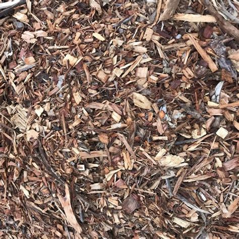Aged Forest Mulch Dynamic Tree Solutions Dynamic Tree Solutions Medium