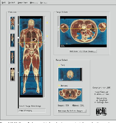 direct manipulation interface semantic scholar