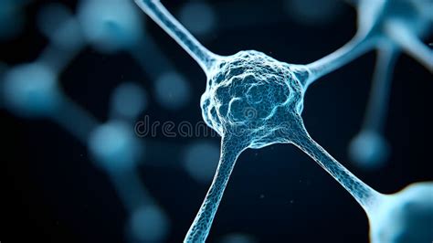 Exploring The Intricacies Of A Dynamic And Complex Network Structure In