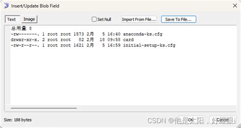 Springboot Websocket 连接ssh终端，并记录日志websocket 服务端日志 Csdn博客