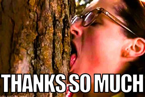 25 Thank You Memes That Speak Louder Than Sending A Card