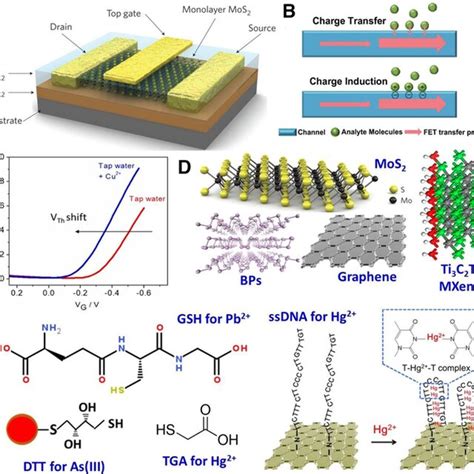 a scheme of a typical fet sensing platform structure with mos2 as the