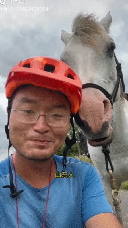 男子骑马回国成网红涨粉近20万！被曝诈骗翻车？怎么回事？增长科学