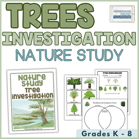 Trees Investigation Nature Journal Printables Homeschool Helper Online