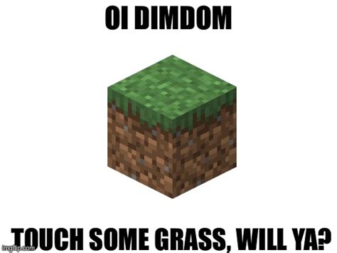 Touchsomegrass Imgflip