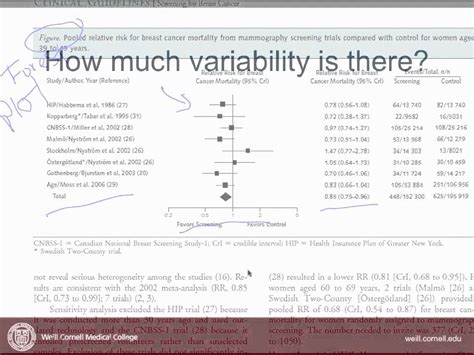 Persuasive Essay Meta Analysis Research Paper Example