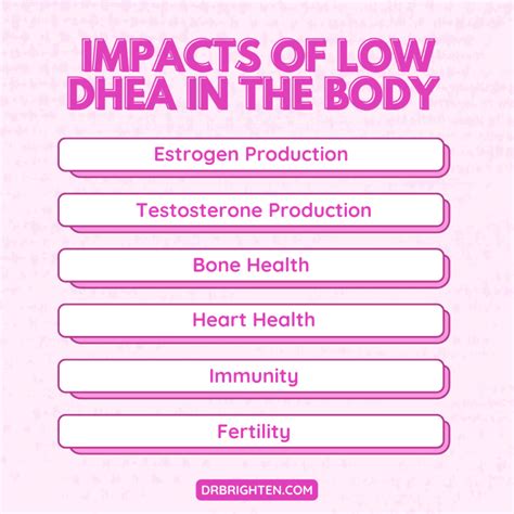 Dhea Supplement Cycle At Johnny Duffy Blog