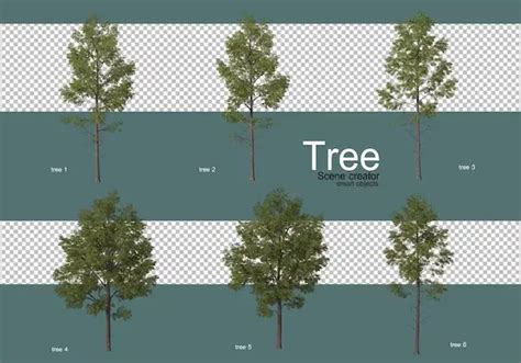 How Many Different Trees Are There In The World