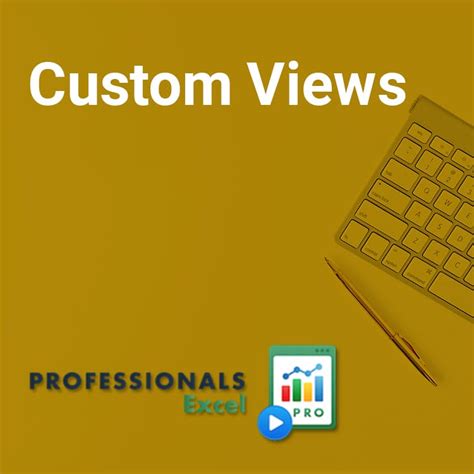 Custom Views Professionals Excel