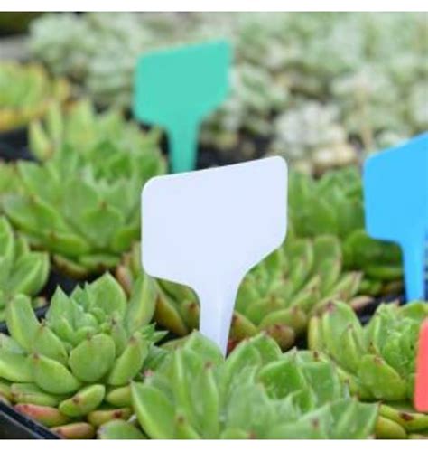 식물이름표 푯말 화단 화분이름표 Dd 10297 식물이름표 화분이름표 정원가꾸기 식물키우기 꽃화분 티몬