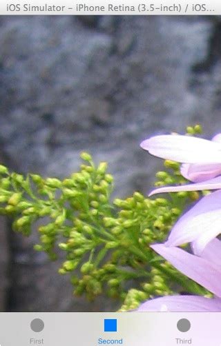 The Uiscrollview Class Scrolling A Large Image