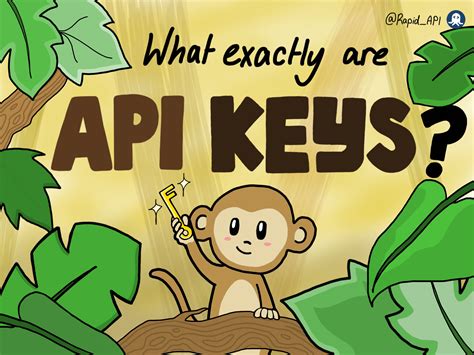 What Are API Keys