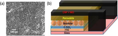 A Top Surface Sem Of Carbon Electrode And B Schematic Diagram Of