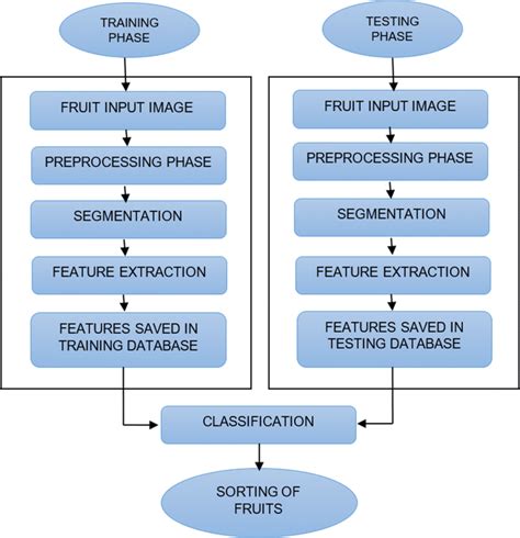 Block Diagram For Fruit Quality Evaluation Download Scientific Diagram