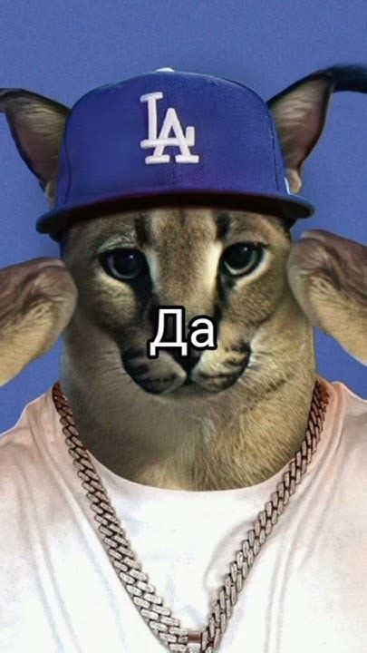 как началась сора с братом Youtube